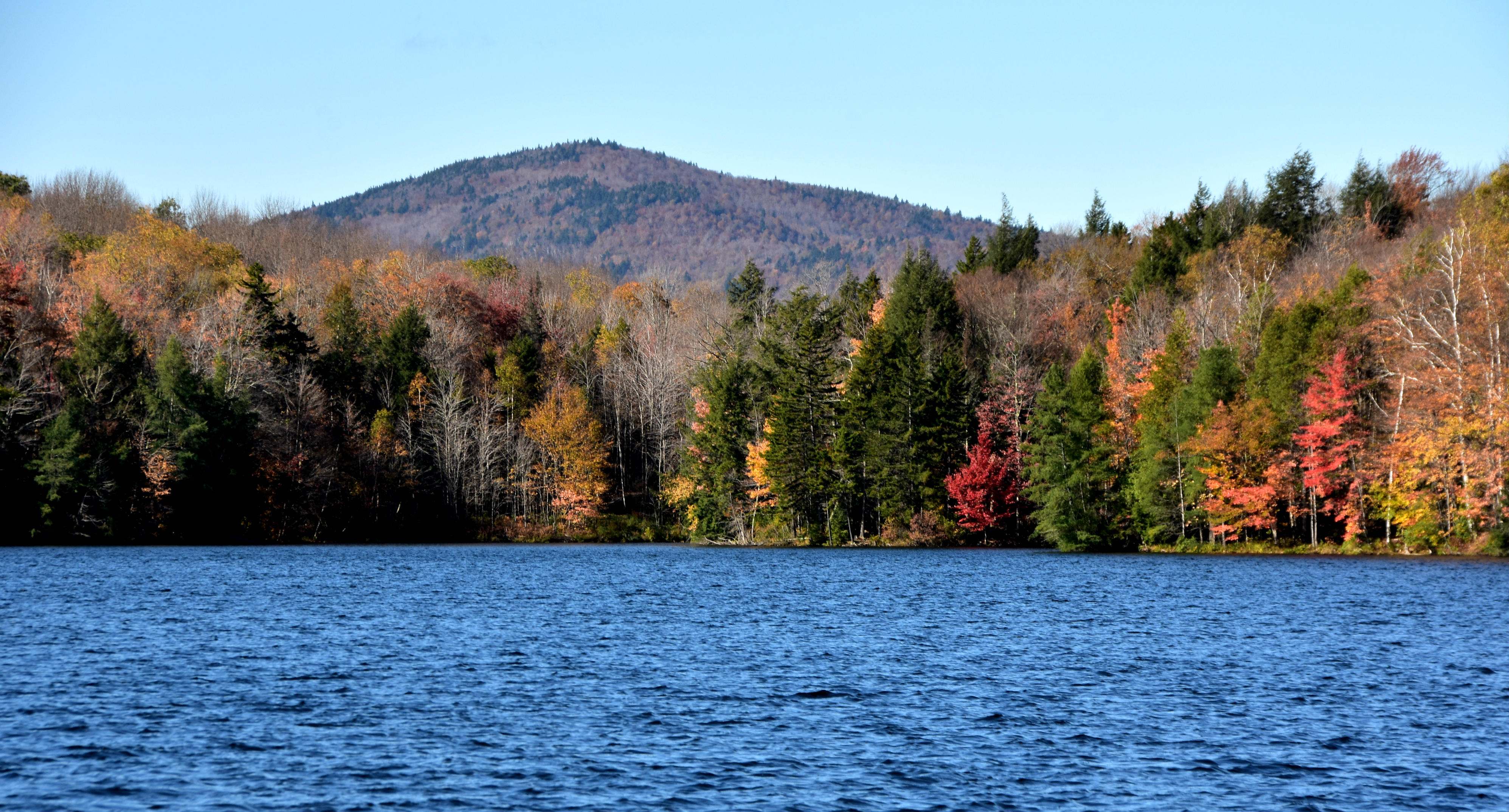 Kent Pond | Bohambo - The Walk