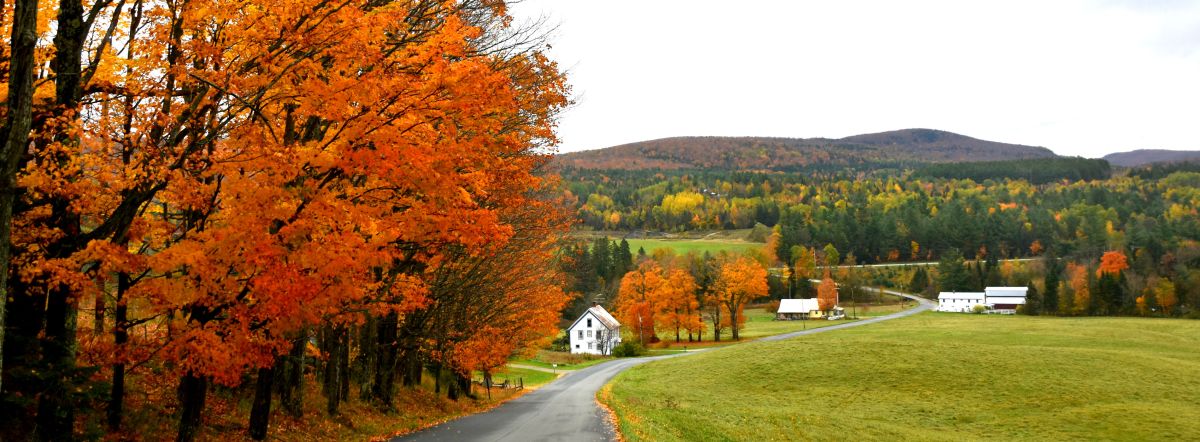 Chasing Fall Foliage – VT 100 | Bohambo - The Walk